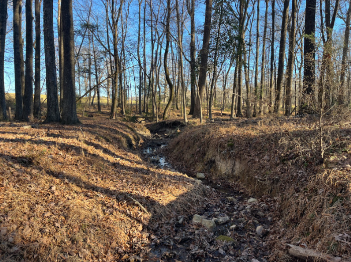 Mitigation Credits 101: Understanding the Basics of Environmental Offsets